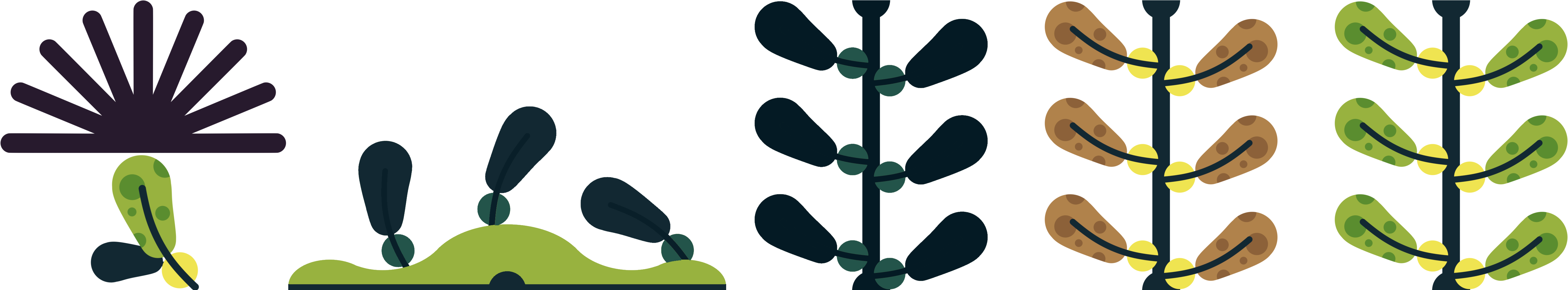 Map[map] Kelp Assets - Laser - (5510x1000) Png Clipart Download